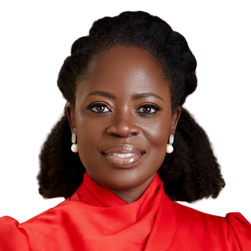 3i Africa Summit – Portal